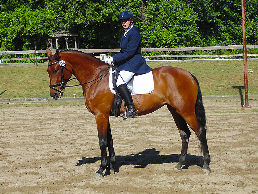 Our Staff | Dressage Training & Horse Boarding: Fairfield Farm in ...